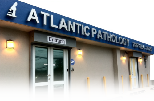 Atlantic Pathology | Infopáginas
